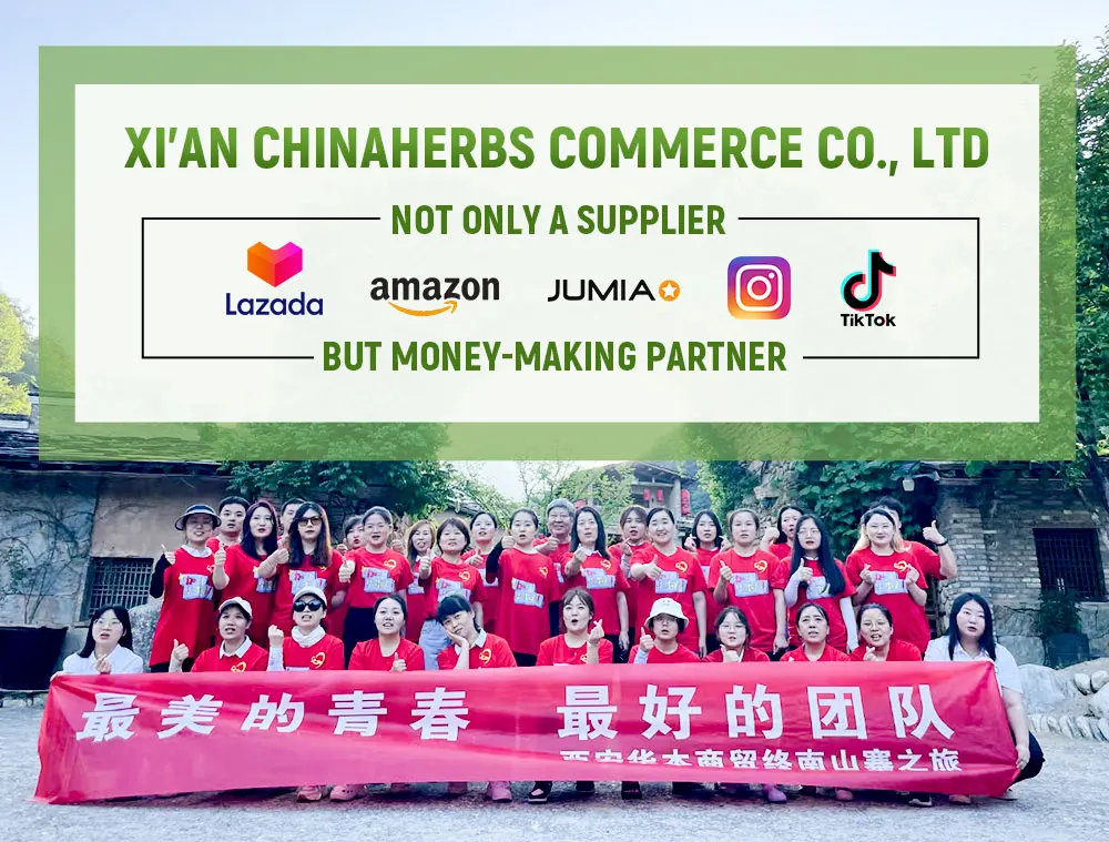 Chinaherbs Organic Matcha Powder - Pure & Sustainable Energy