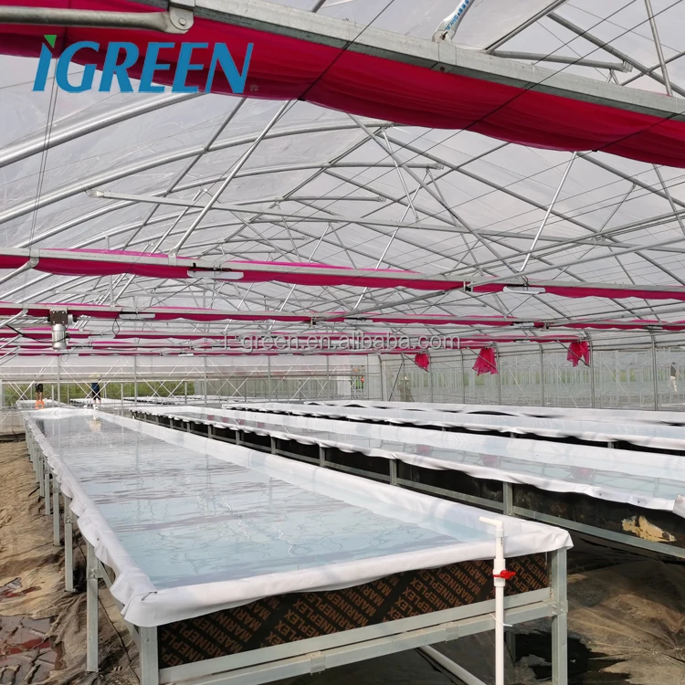 Deep Water Culture Dwc Hydroponics System Growing Racks For Greenhouse ...