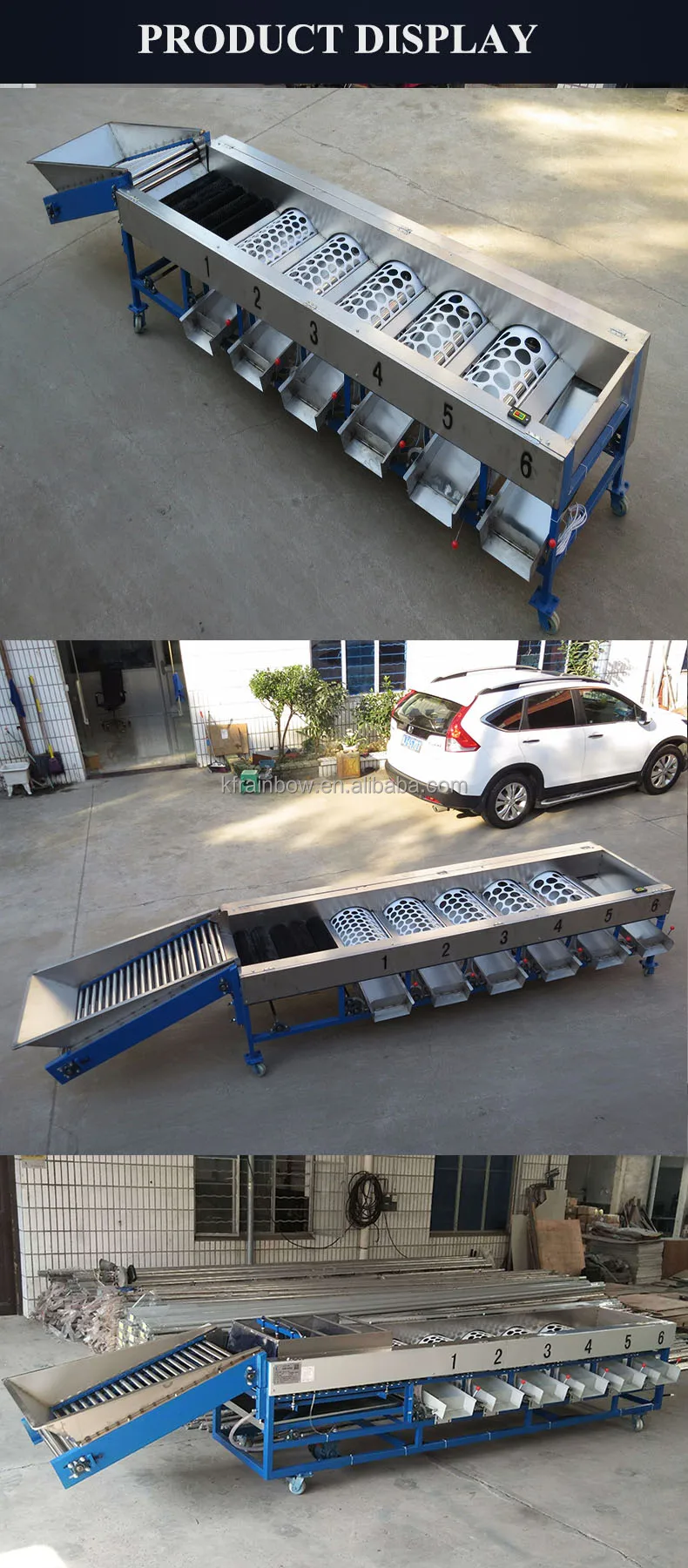 Efficient Olive Washing Grading Machine - 300kg/h Capacity