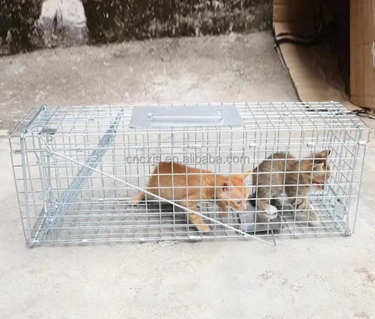 Large Plastic Mouse Cage Mouse Traps For Home - Buy Large Plastic Mouse ...