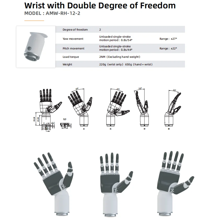 Biomimetic Hand Joint,Five Finger Dexterous Hand,Bionic Robot Hand ...