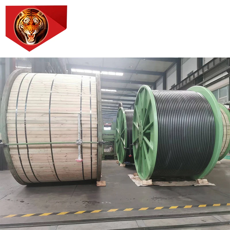 Tiger Rig Government Plant Produce Skid-Mounted Coiled Tubing| Alibaba.com