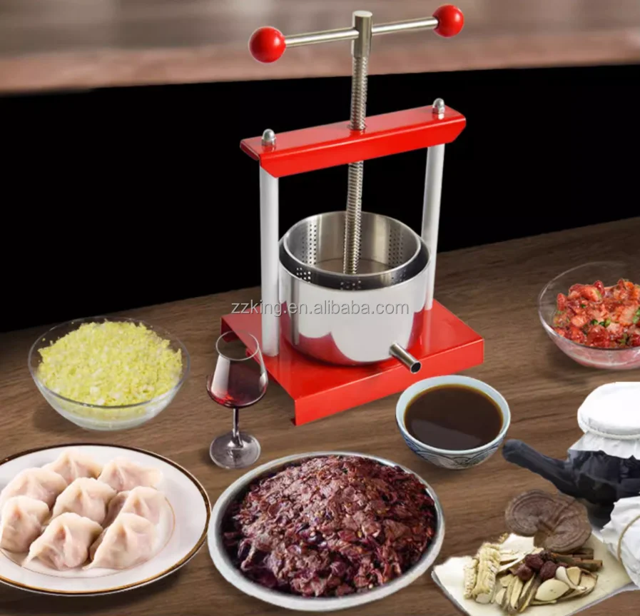 Stainless Steel Manual Juicer - DIY Apple Orange Carrot Juice Maker