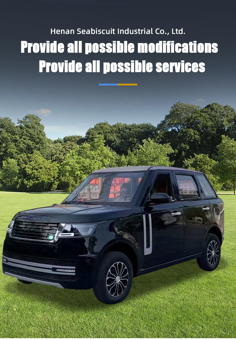 Mini Electric Car from China - 2 Person SUV with 50km/h Speed