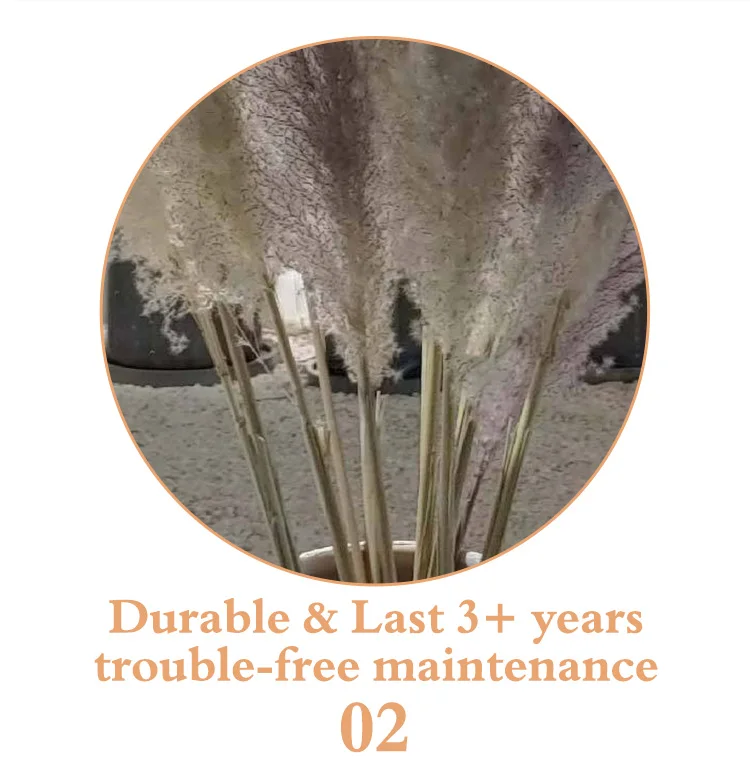 Uo New Arrivals Natural Artificial Flowers Large Pampas Gray Pampas ...