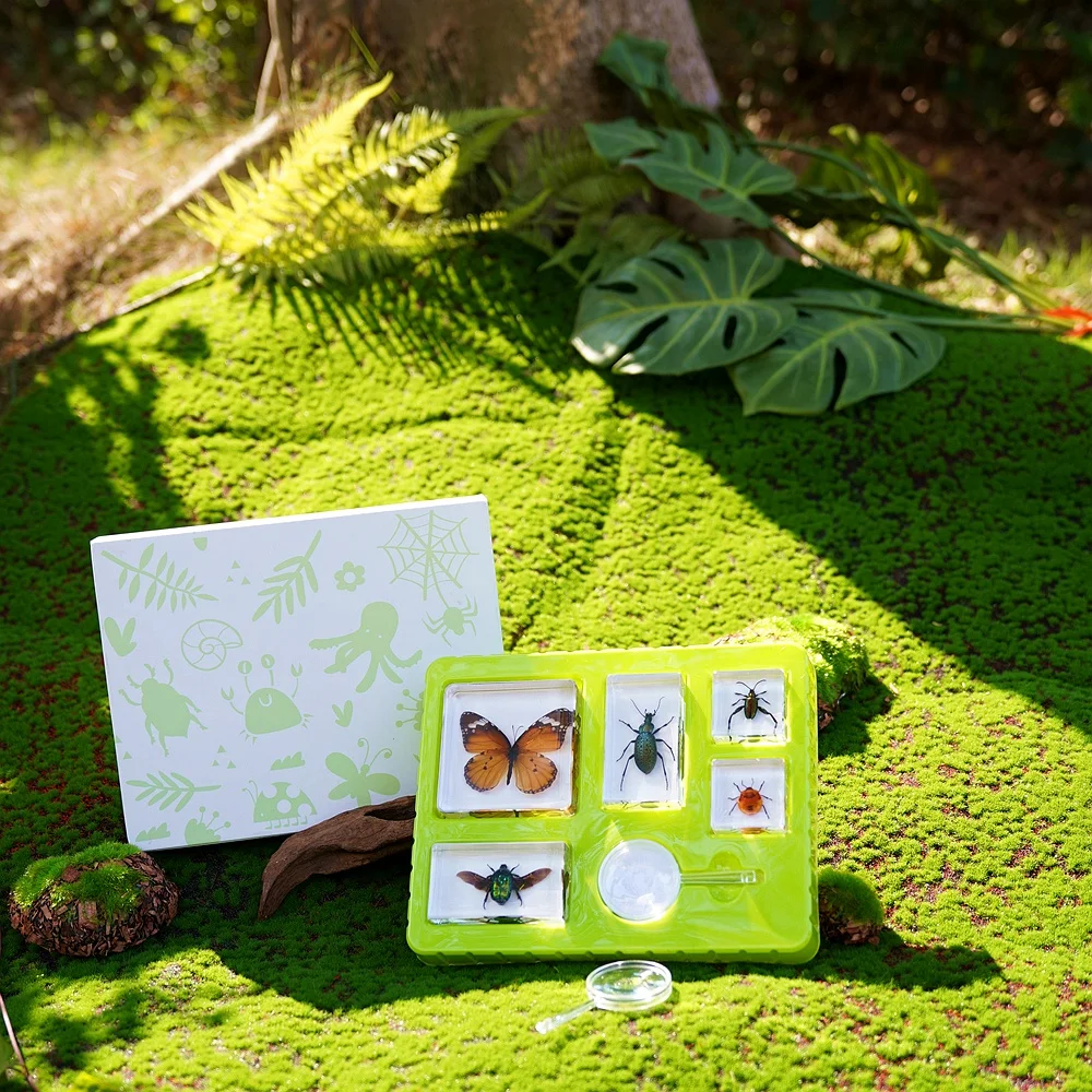 Children Insect Toys Educational Science Collecting Insects Teaching ...