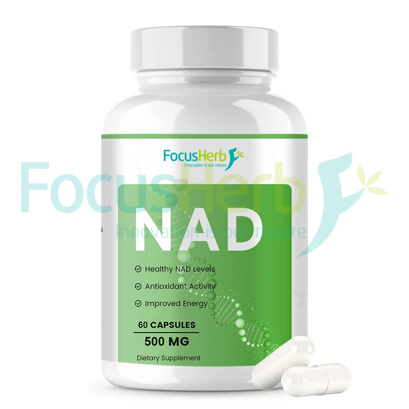 Focusherb Nad Supplement High-purity Nad Powder 53-84-9 Nicotinamide Adenine Dinucleotide Nad ...