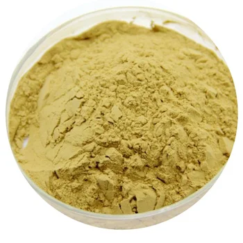 Panax Notoginseng Saponins Pseudo-ginseng Extract Panax Notoginseng ...