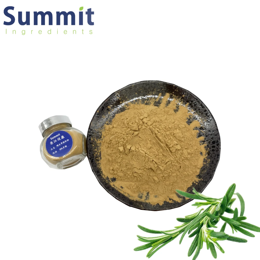 High Quality Rosemary Leaf Extract Carnosic Acid Rosemary Extract ...