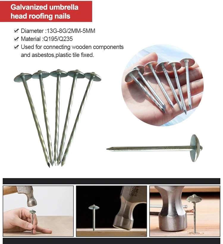 Umbrella Head ISO Standard Roofing Nails - Fast Delivery