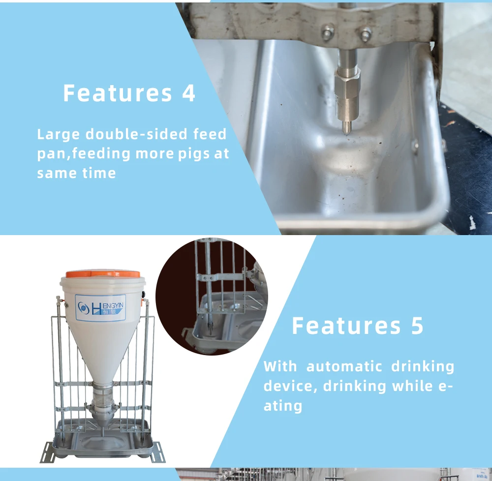 Stainless Steel Bracket Automatic Pig Farming Dry Wet Feeder For Pig ...