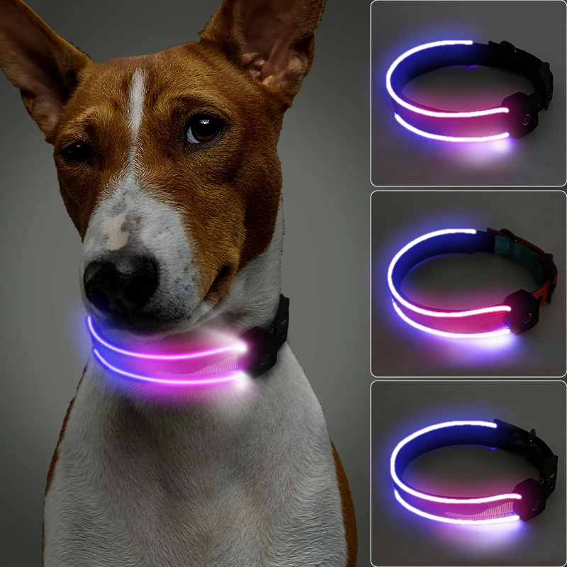 QQPETS LED Dog Collar - Custom Glow Lights for Night Safety