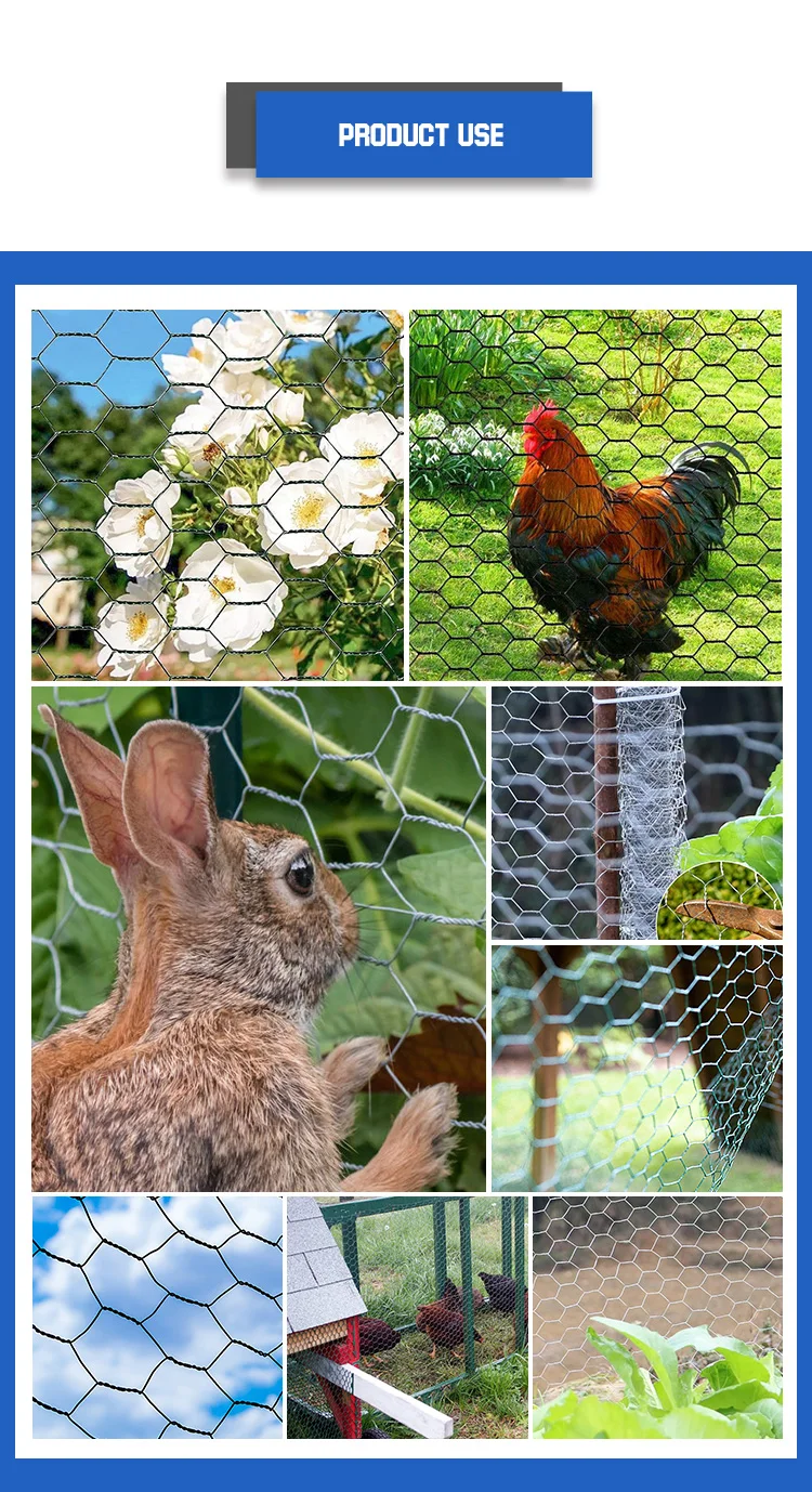 Pvc Coated Hexagonal Wire Mesh Chicken Fence For Poultry Farm Mesh Net ...