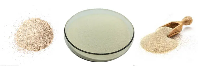 Torula Yeast Extract Beta Glucan 70% 80% 90% for Health Care ...