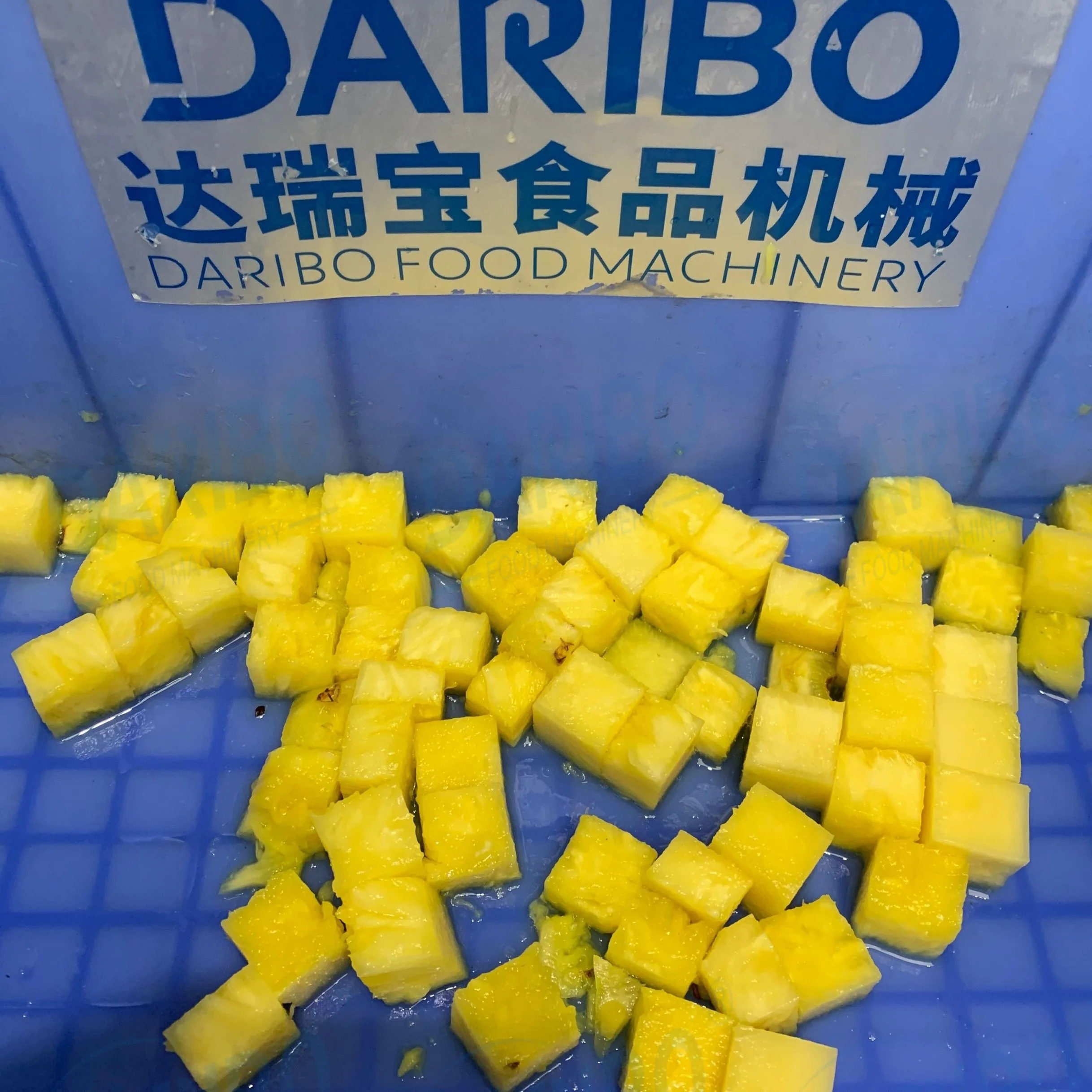 DRB-R350 Commercial Mutton Beef Block Dicing Cutter