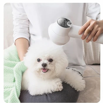 Portable Handheld Dog Blow Dryer With Smart Temperature Control Less ...