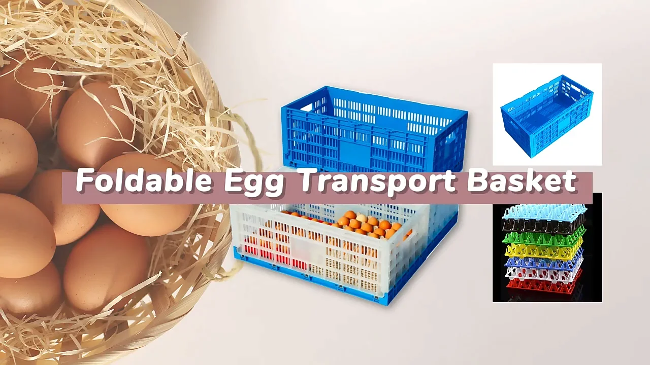 Great Farm Foldable Egg Crate Egg Transport Basket Plastic Storage ...