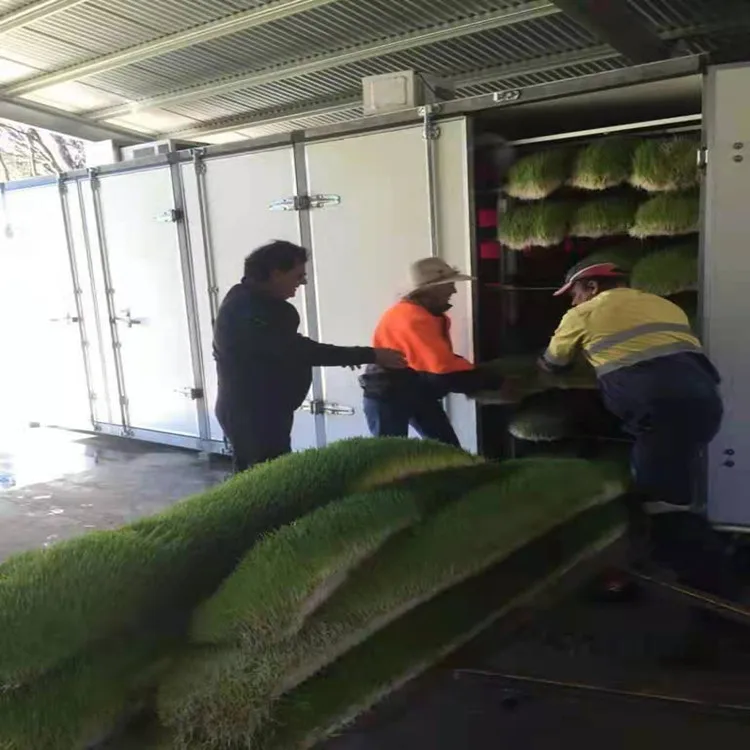Automatic Barley Fodder Growing Systems - High Efficiency