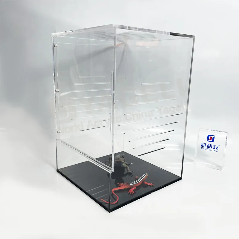 High Transparency Acrylic Spider Lizard Reptile Display Cases With ...