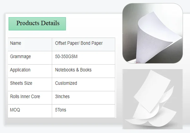 Custom Offset Printing Paper - Coated Jumbo Roll & Sheet