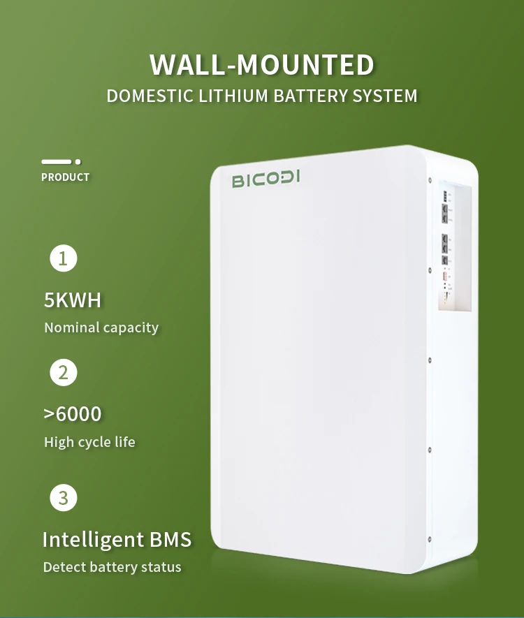 Bicodi Residential 220v Power Station 5kwh 51.2v Lifepo4 Lithium ...