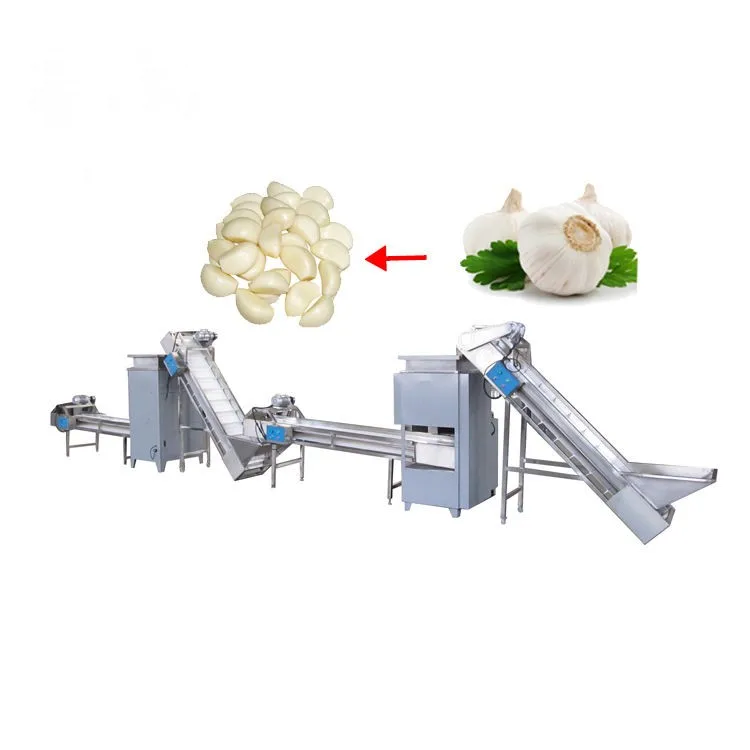 Peeling Garlic Processing Line Clove Separator Dividing Skin Removing Production Peeling Machine ...