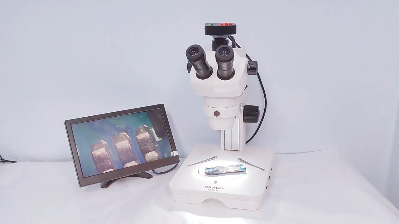 2019 New Yaxun Yx-ak36 8x--50x Professional Binocular Stereo Microscope High Quality Mobile ...