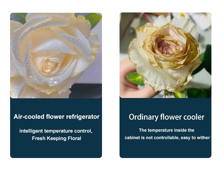 Apex Chiller Flower Display Fridge - Frost Free & Digital Control