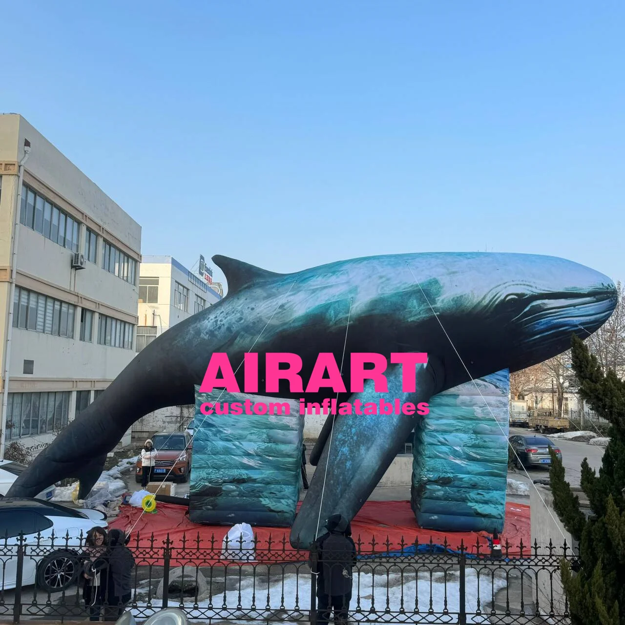 3M Inflatable Whale Balloon - Custom Sizes, Digital Printing ...