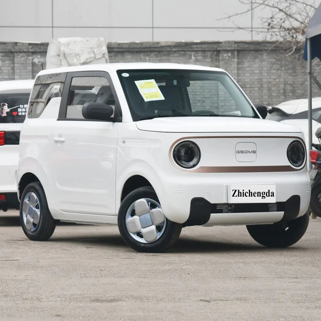 Electric Car Geely Panda Mini 2023 Ev Car 120km Cute New Geometry Geome ...