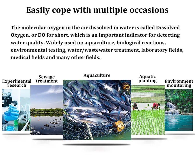 Smart Sensor Ar8406 Portable Dissolved Oxygen Meter & O2 Sensor Tester Oem