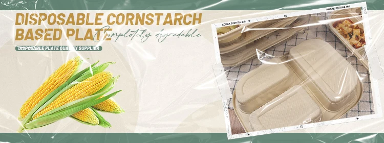 Biodegradable Corn Starch Food Container Eco-Friendly Take Away Lunch ...
