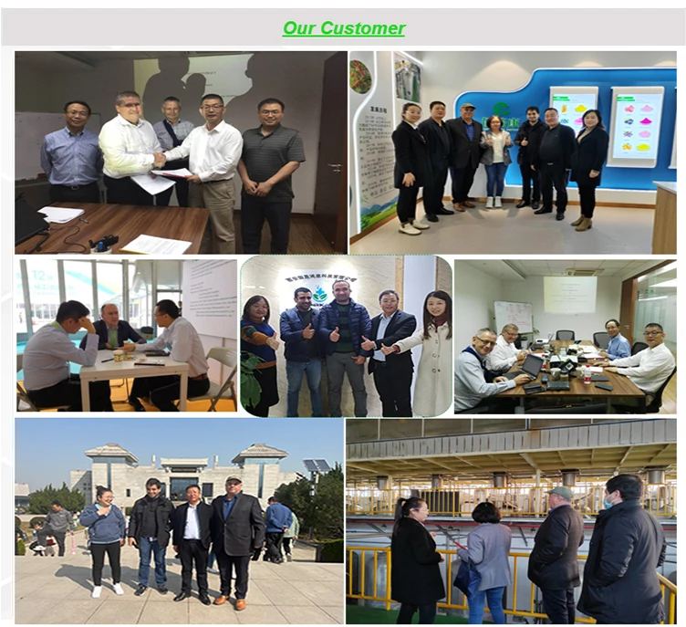 Cosmetic Raw Materials Skin Whitening Mequinol Crystals Cas 150-76-5 ...