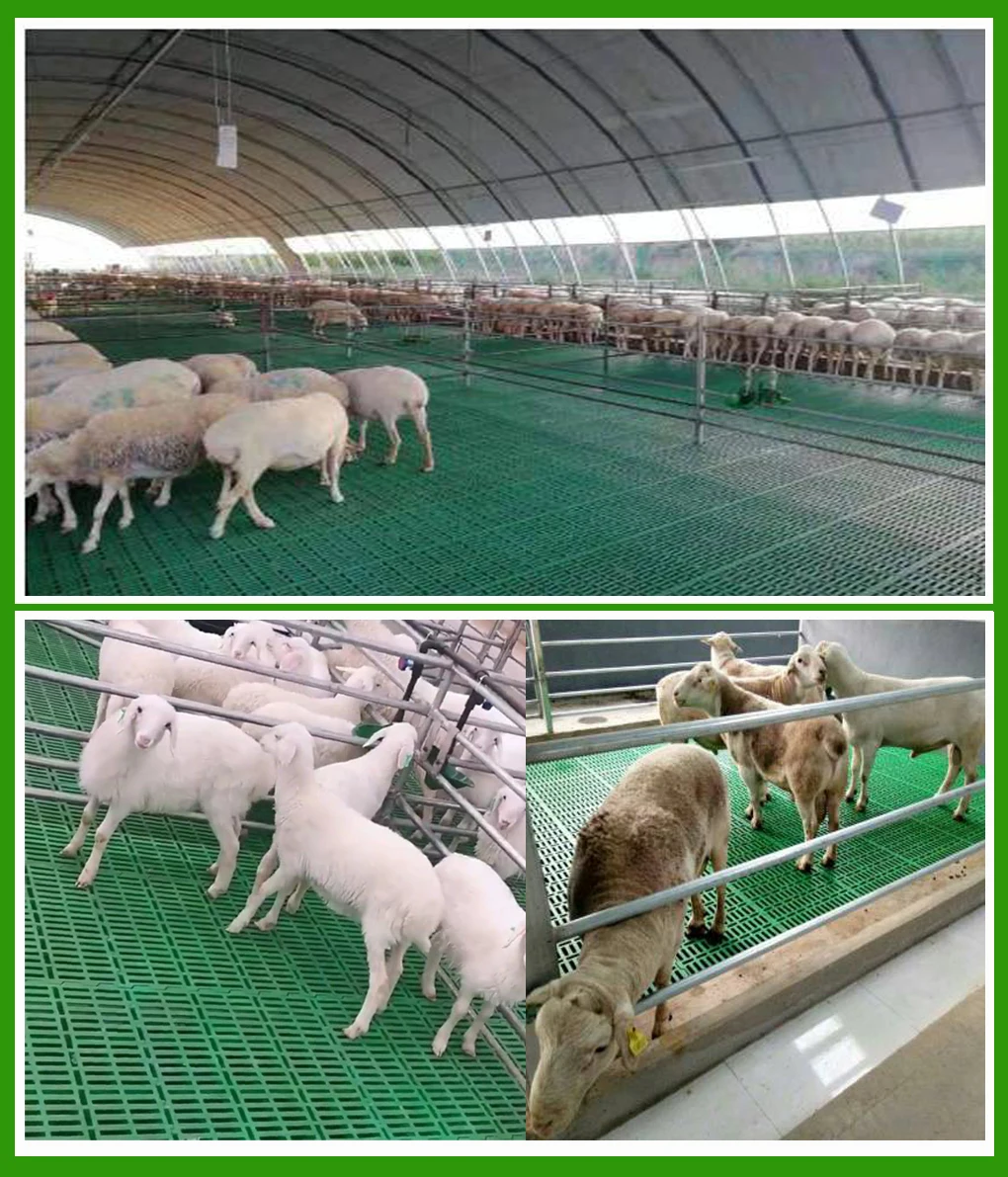 Plastic Slatted Floor for Goat Sheep Farming - MUHE