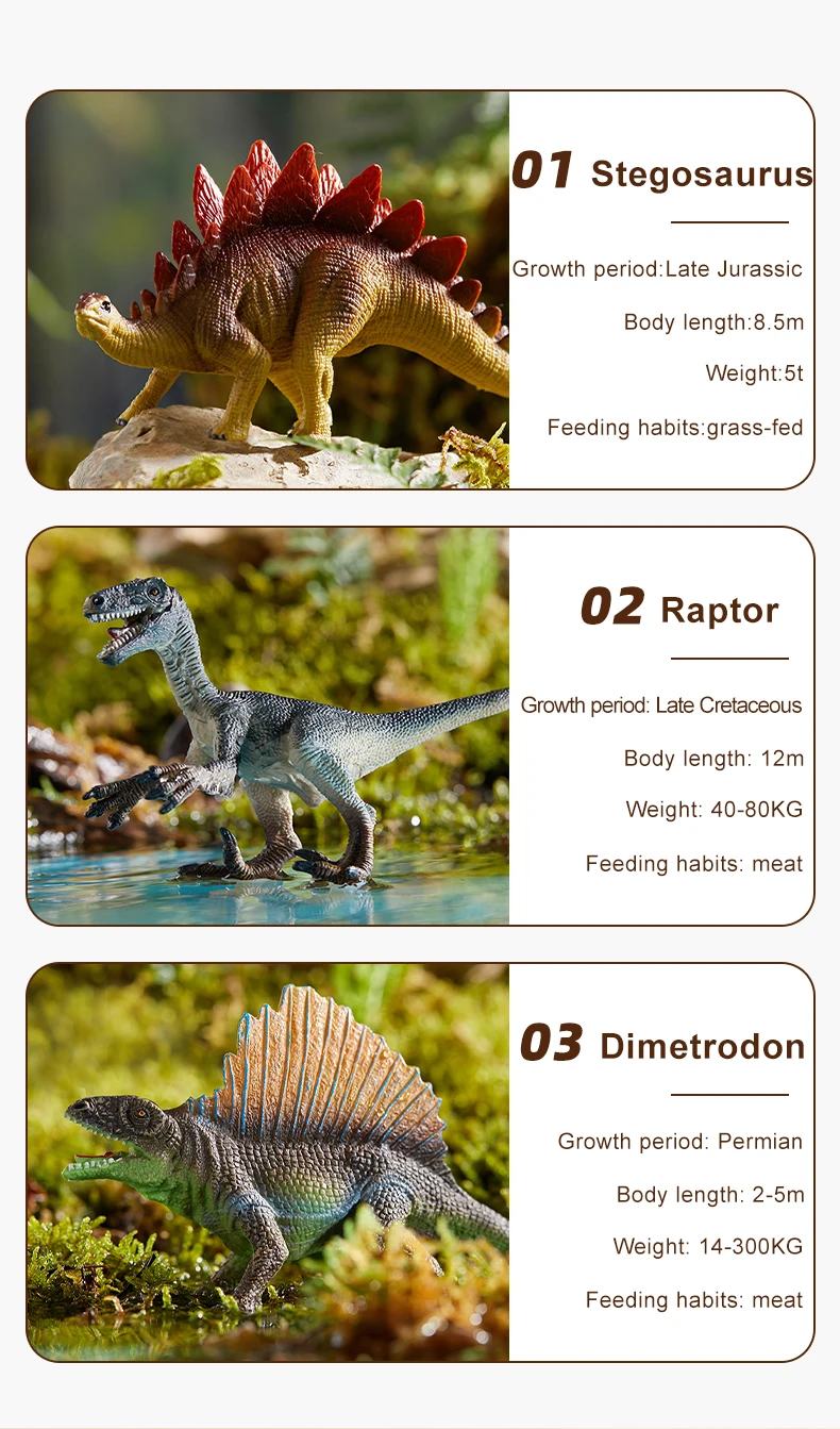 Mideer Md1213 Dinosaur Set 24pcs Model Dinosaur Wild Play Set ...