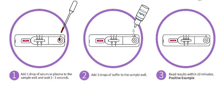 Bovine Brucella Antibody Rapid Test Kit For Cattle,Cow Brucella Test ...