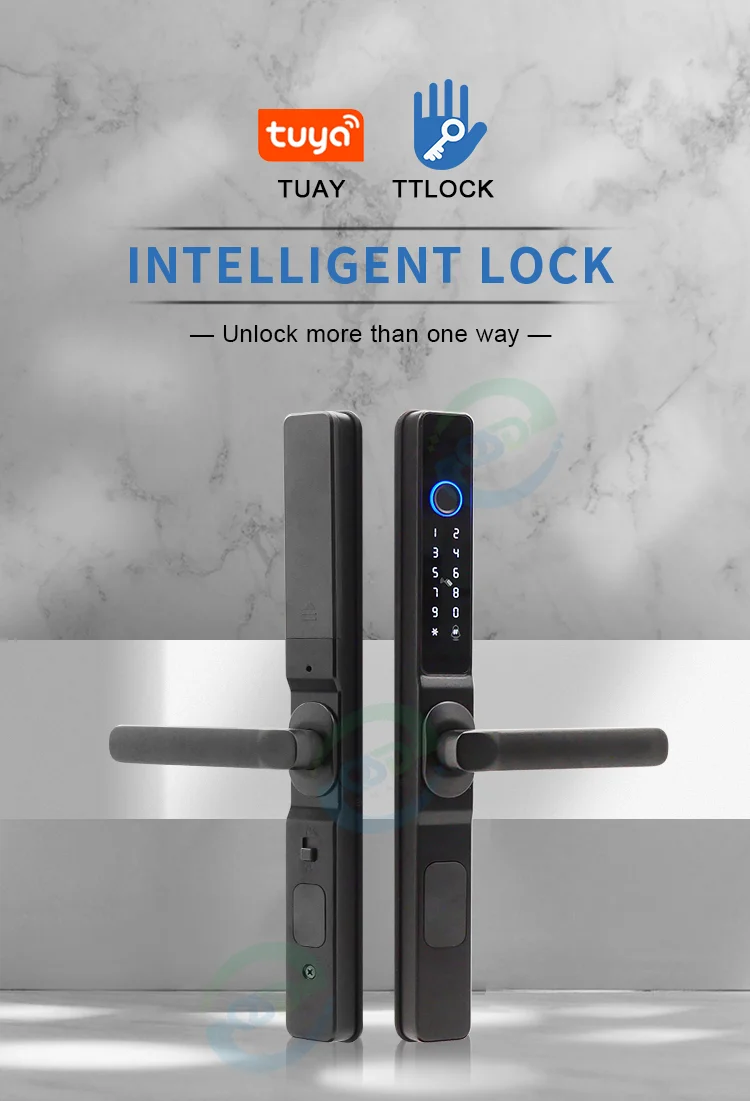 Waterproof Digital Door Lock Finger Print Wifi Tuya Ttlock Cerraduras ...