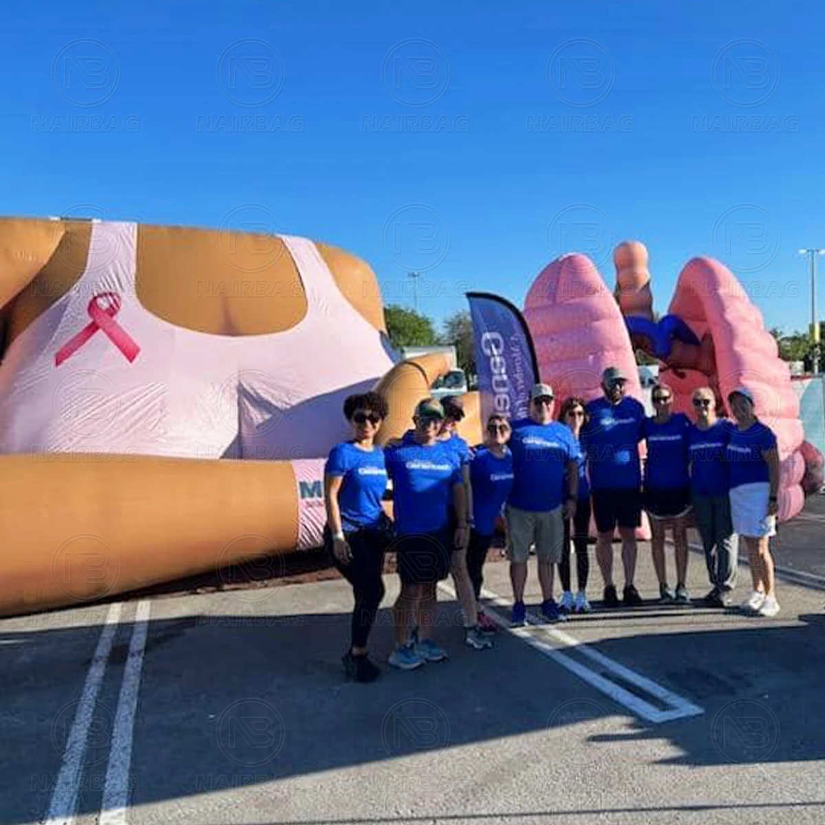 Inflatable Breasts Model - Artifical Giant for Medical Exhibitions