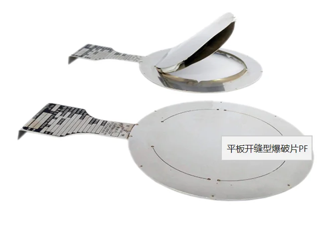 Powder Bursting Disc For Overpressure Protection In Oil,Gas,Energy ...