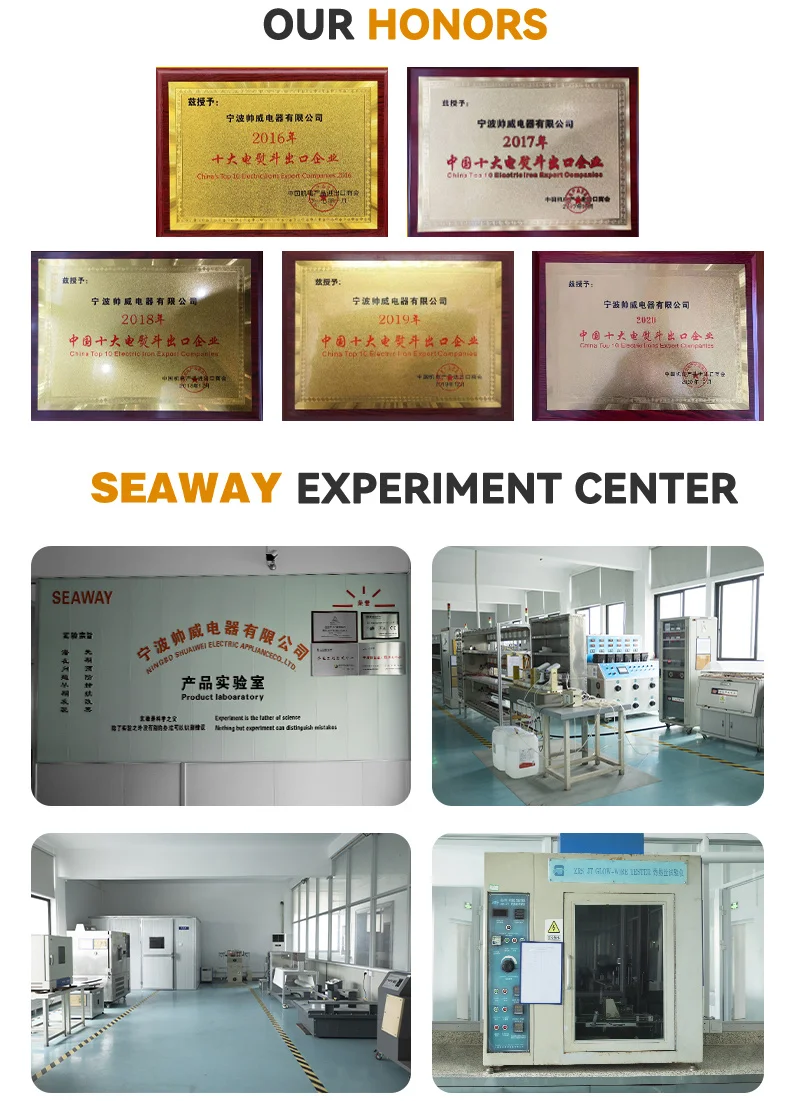 1000W Handheld Wet and Dry Double Hot Steam Generator Portable Garment ...