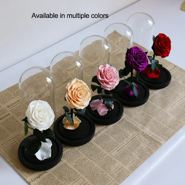Beauty And The Beast Rose In Glass Dome With Led Real Preserved Eternal ...