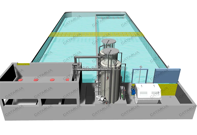CATAQUA RACEWAY RAS System - Efficient Aqua Fish Farming