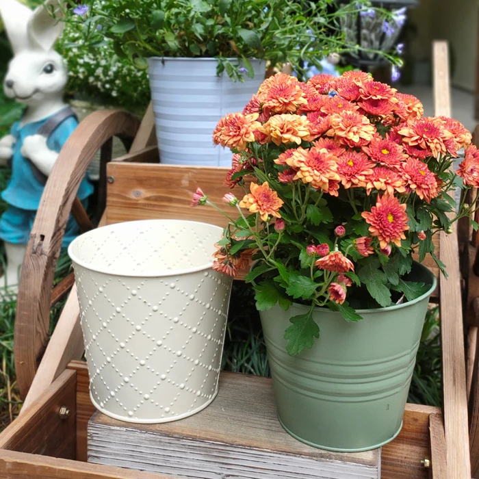 Embossed Wave Point Metal Plant Pot Pastel Galvanized Flower Metal ...