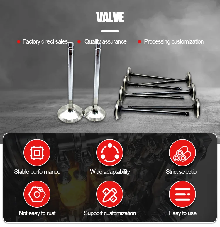 Rikmi 4jb1 Diesel Engine Block Cylinder Head Intake Valve Exhaust Valve ...