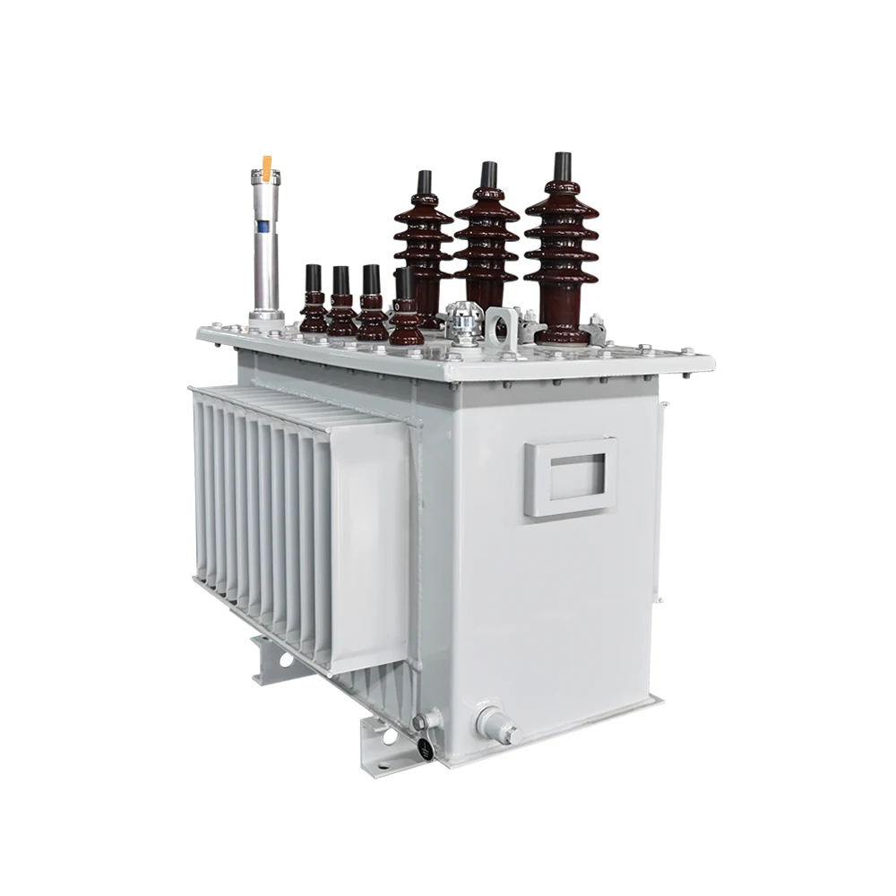10kv 0.4kv 63kva 80kva 100kva 125kva 160kva Outdoor Oil-immersed Three ...