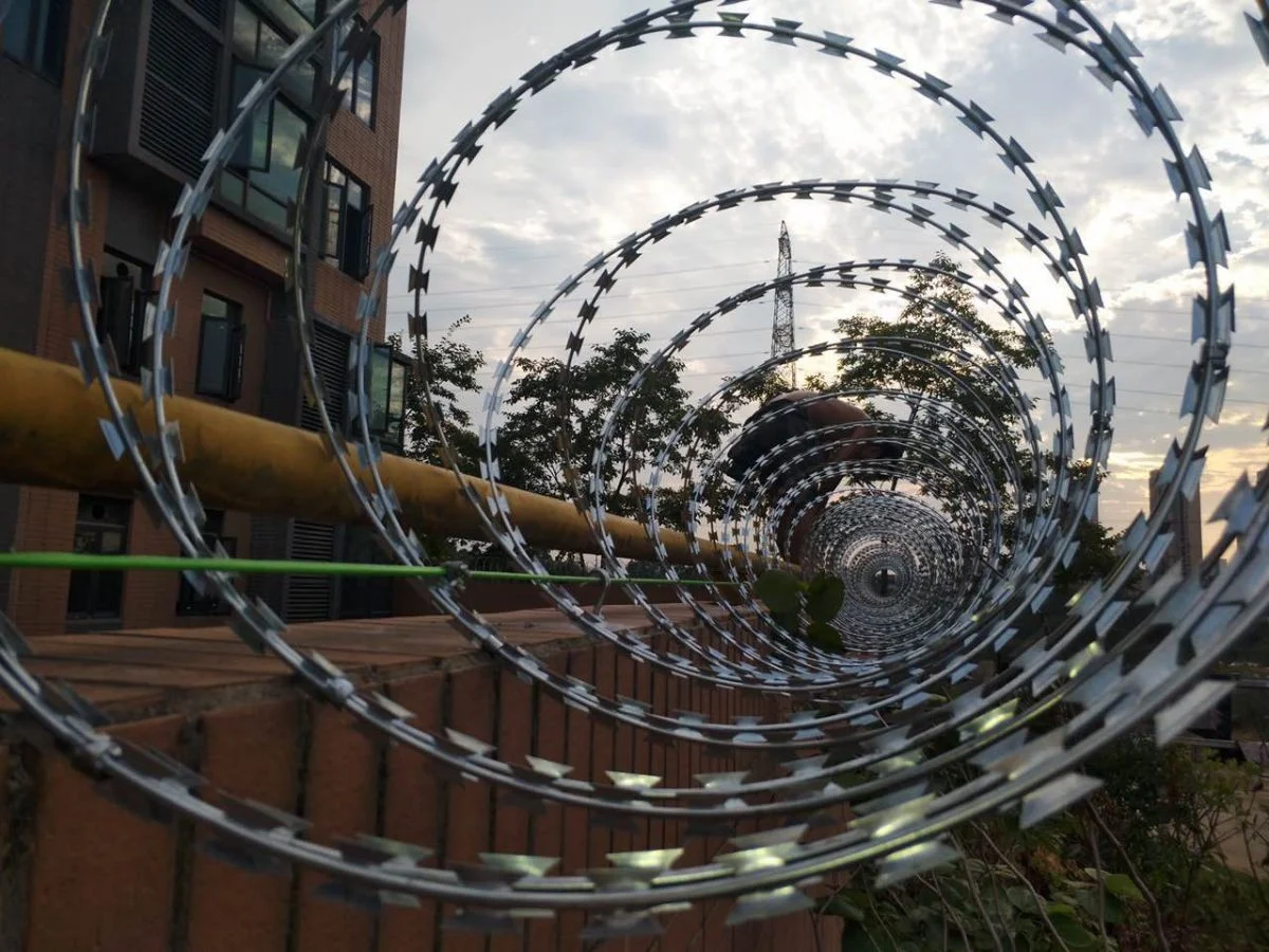 Stainless Steel Concertina Razor Barded Wire / Single Loop Rust Proof ...