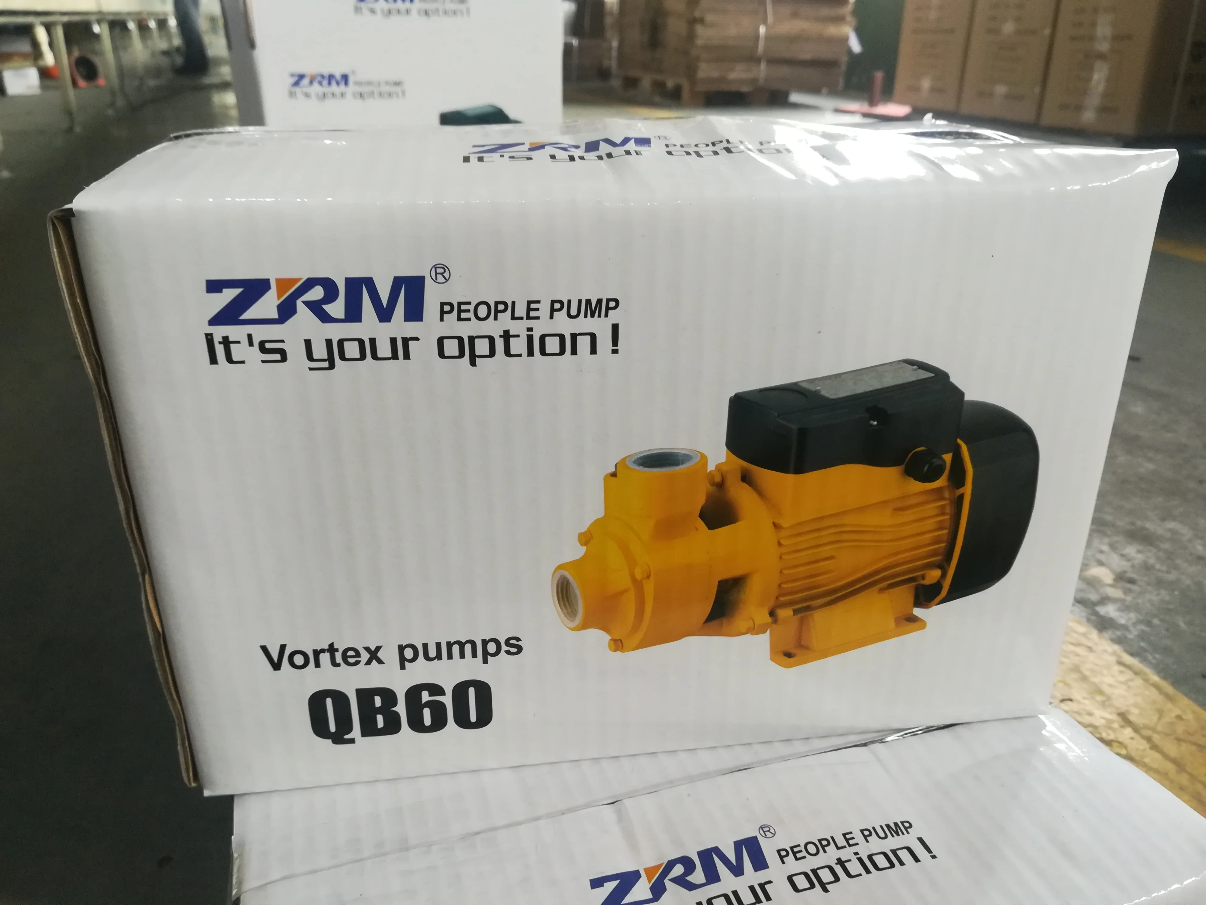 Qb60 Pump 110v/220v 60hz Electric Water Pump With Double Voltage - Buy ...