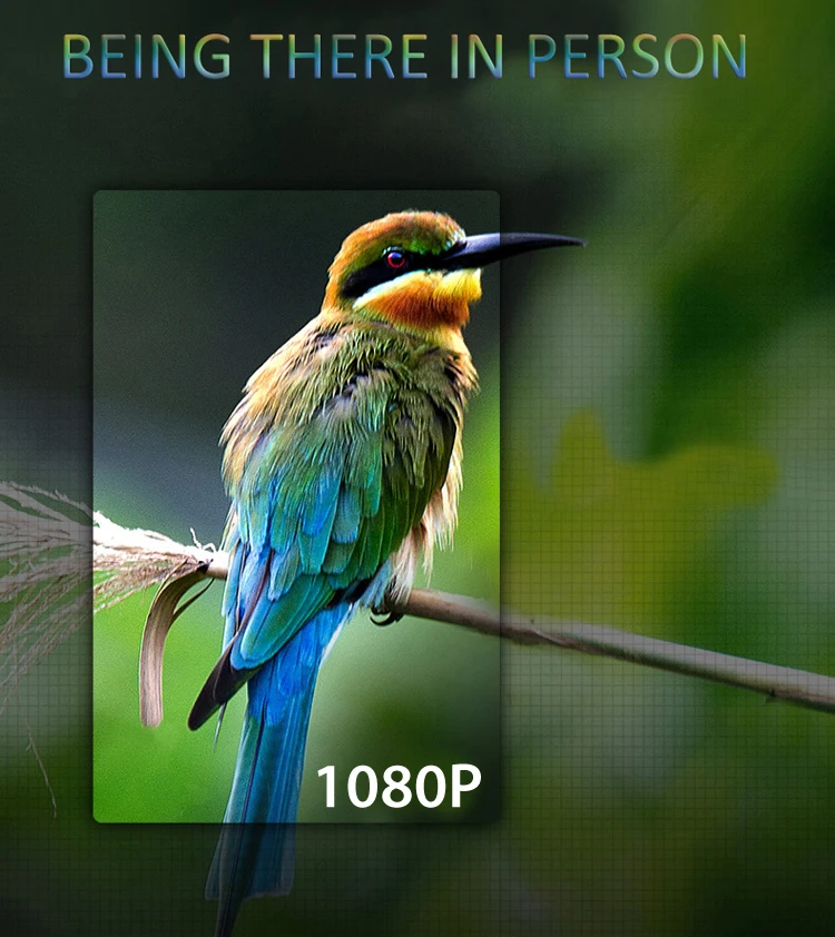 TNT STAR TG-X20 - DVB-T2 High Definition Receiver Decoder