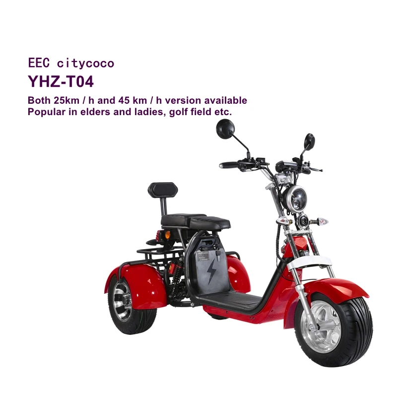 Holland in Stock Dual 2000W Motor 3 Wheels Electric Motorcycle