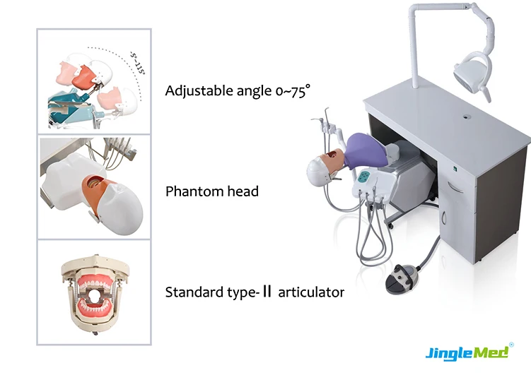 Portable Laboratory Bench Dental Simulation System University Teaching ...